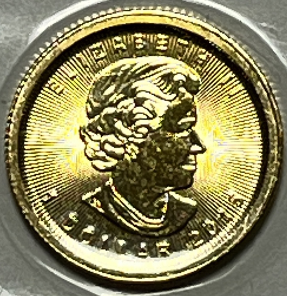 Canada Gold Maple Leaf 1/20oz .9999 Fine Gold | Heartland Pawn & Jewelry